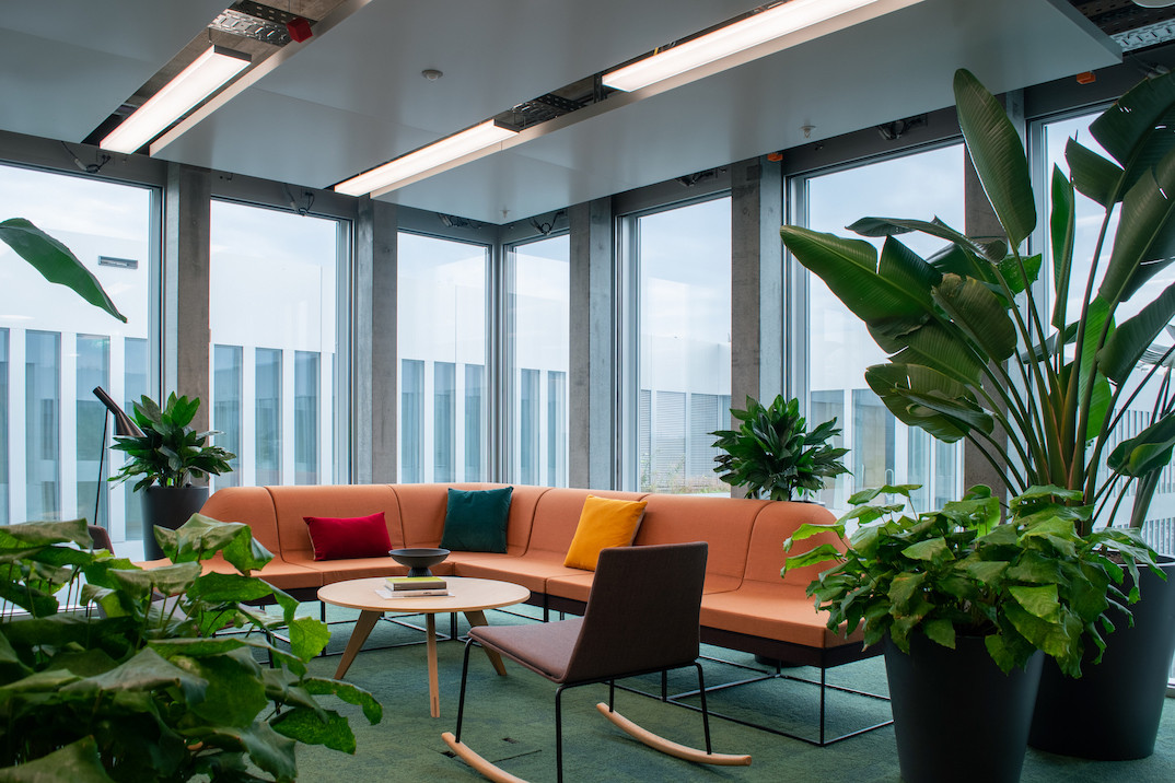 Microsoft | Oxygen at Work