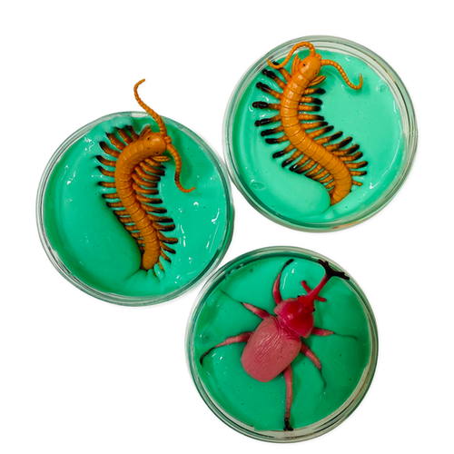 CREEPY CRAWLY SLIME | brightfuturesmildura