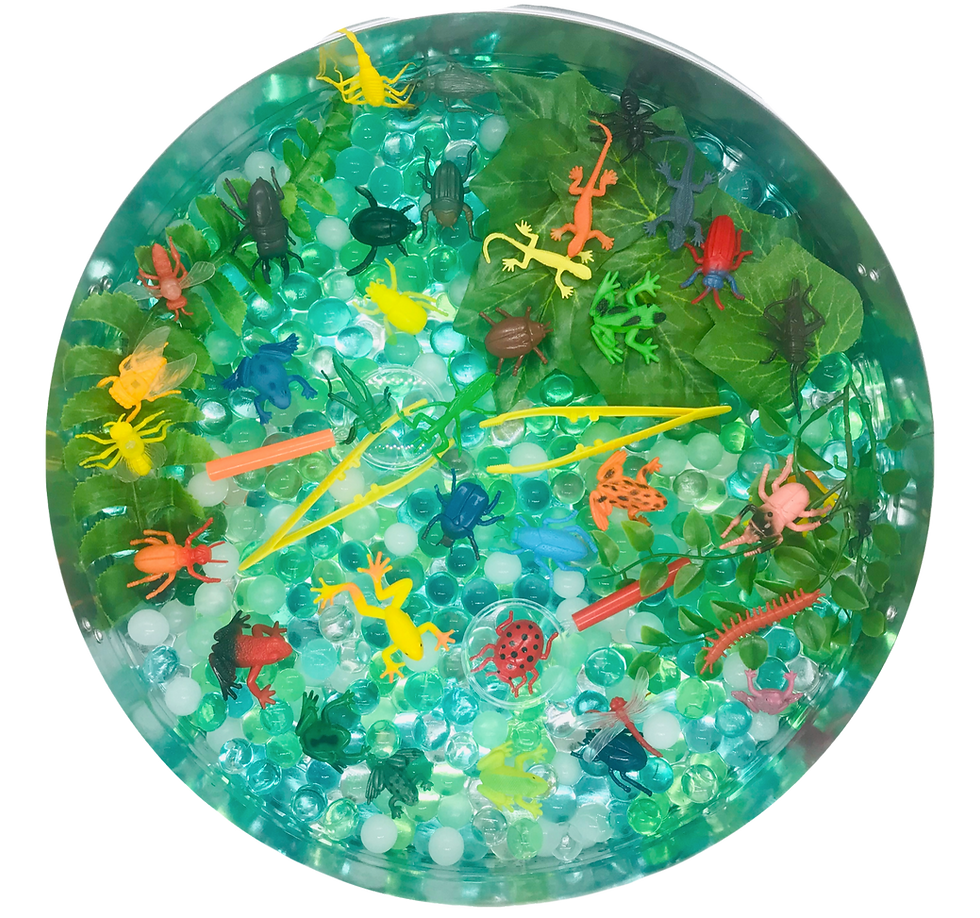 All Things MINIBEAST Sensory Bin | brightfuturesmildura