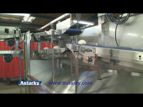 High Speed Vertical Diverter | Autarky Automation