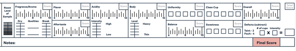 What is Fine Robusta? Facts Everyone Should Know