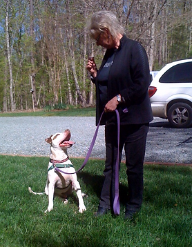 domesticated manners