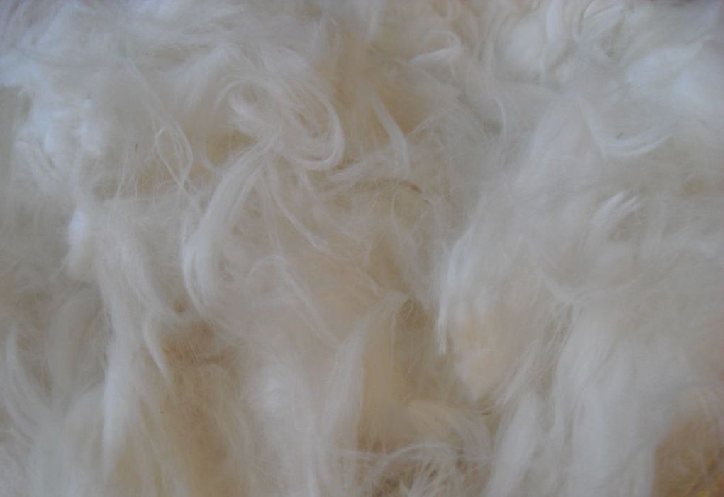 Fibras textiles | hadarlebush