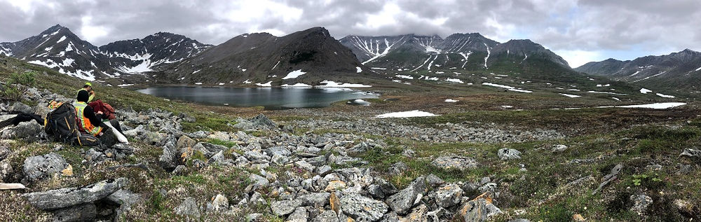 BLM Terrestrial Assessment, Inventory, and Monitoring (AIM)