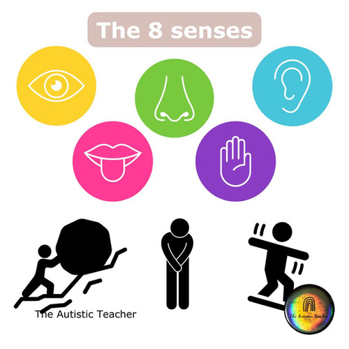 The 8 senses | The Autistic Teacher