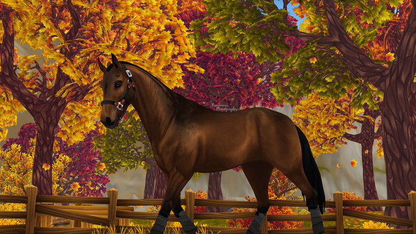 FREE HORSE WALLPAPERS | Abigail Pinehaven