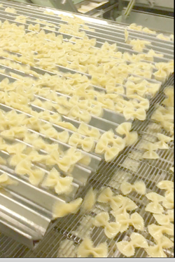 IQF smoothie Chips | Italia Foods | Frozen Sauces | Co Packing