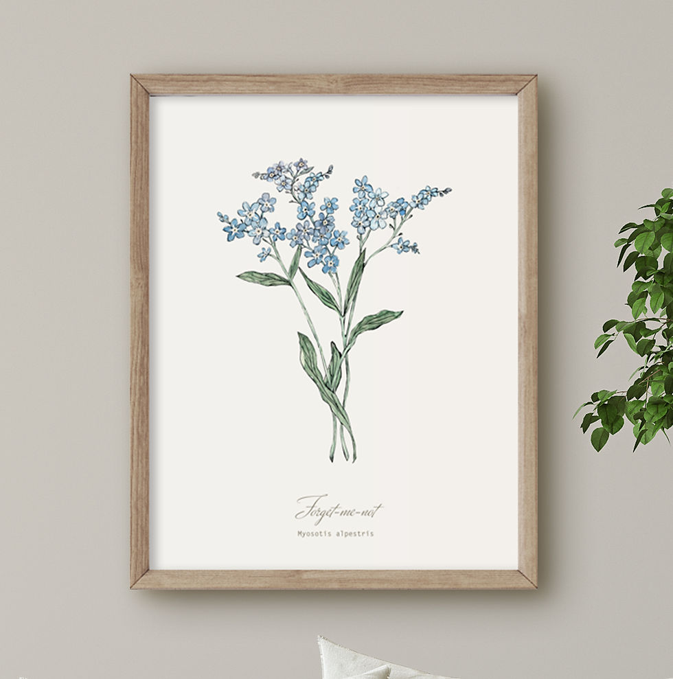 Forget-Me-Not Botanical Print | hackneyandco