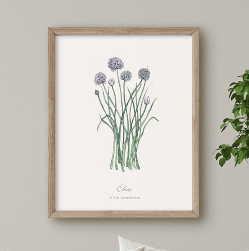 Chives Botanical Print | hackneyandco