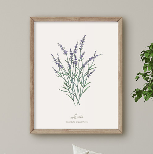 Lavender Botanical Print | hackneyandco