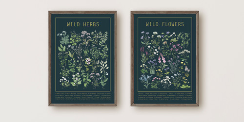 Botanical Poster Sets | hackneyandco