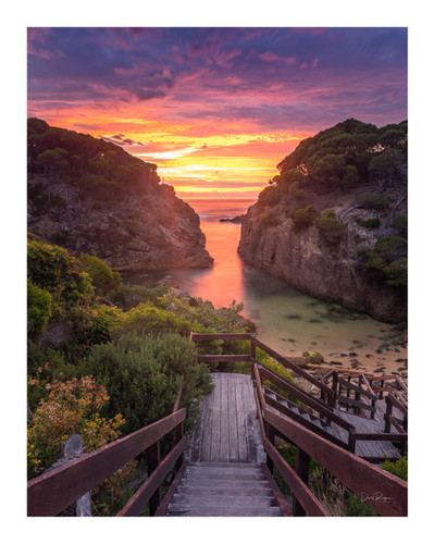 Wallagoot Gap Summer Solstice | DavidRogers