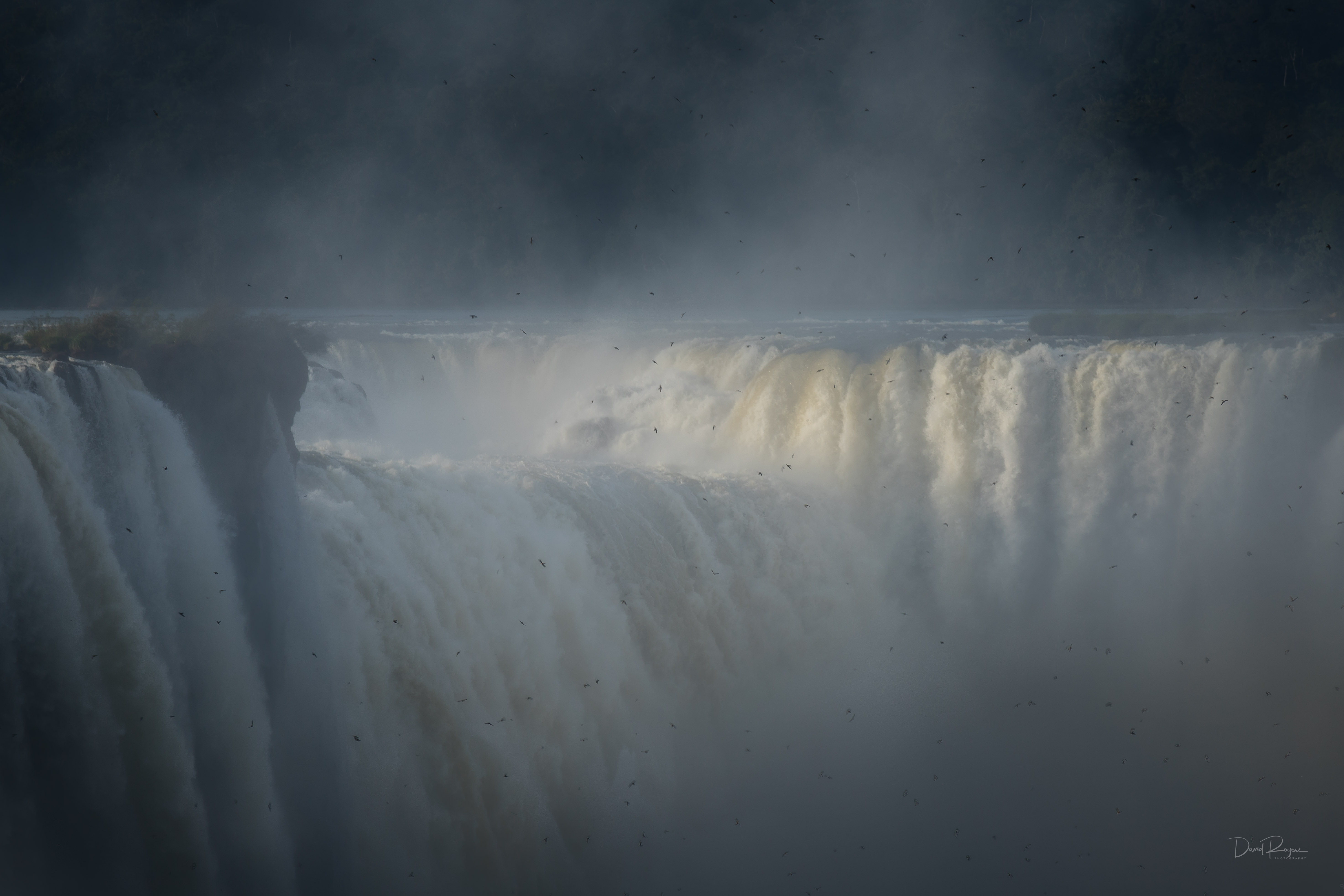 Sapphire Coast Photographer | David Rogers Photography