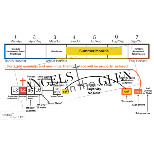 All 56 Daniel Study Charts & Timelines - Package, SAVE $57 ...