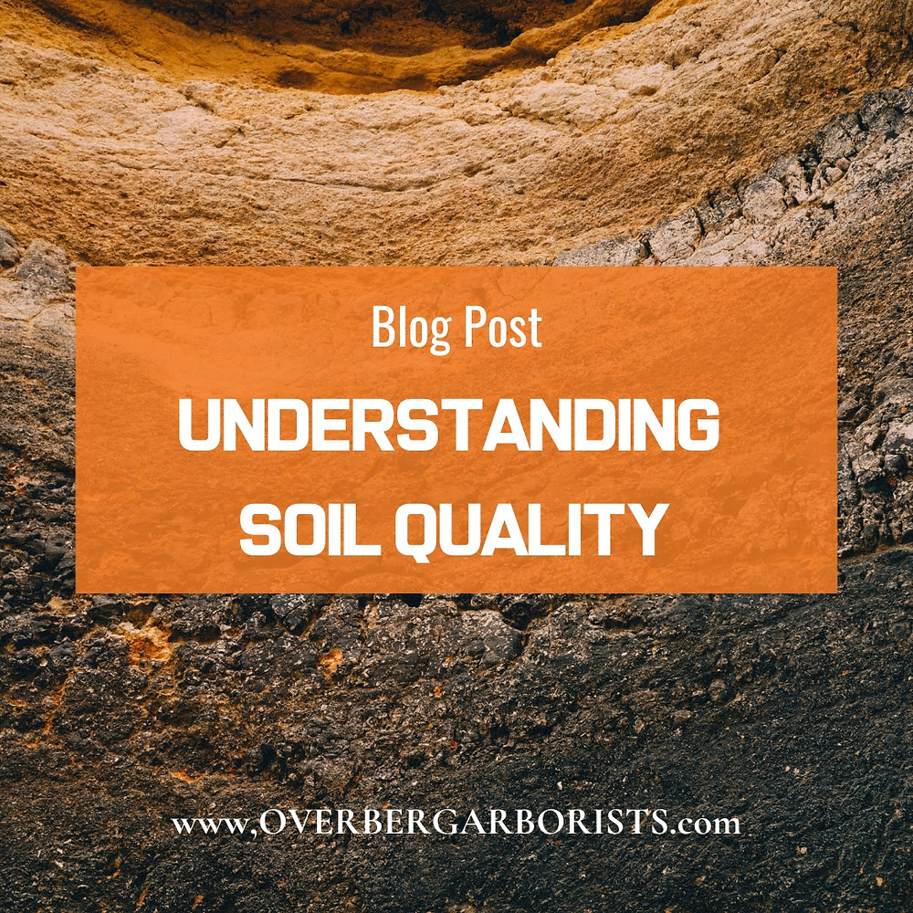 Understanding soil quality