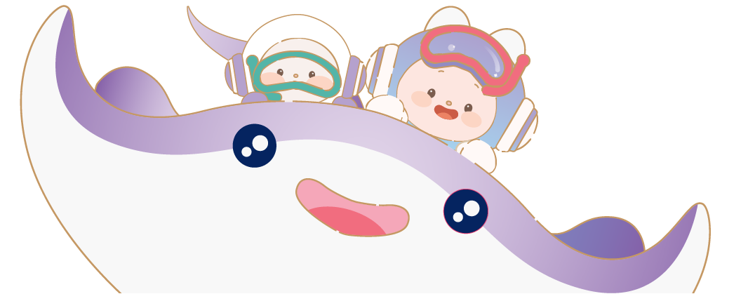 Wollongong | Chouchoubebe