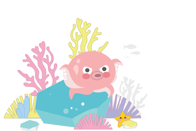 Warrawong | Chouchoubebe