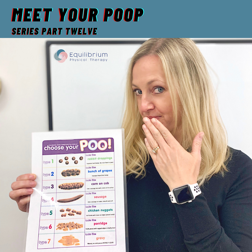 MEET YOUR POOP: Series Part Twelve