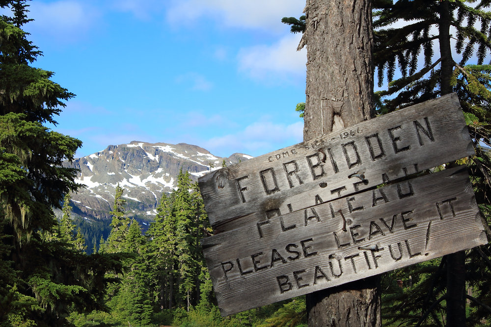 Forbidden Plateau Traverse - July 24, 2021