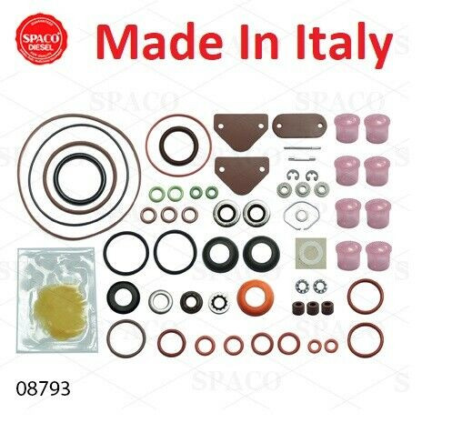 Stanadyne DB2 Injection Pump Rebuild Kit