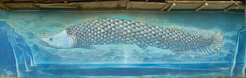 AMAZONIAN RIVER FISH | Elmuralgallery