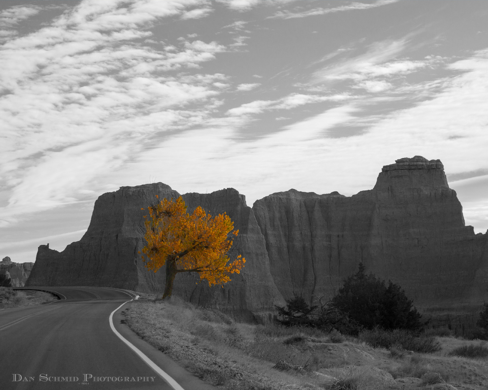 Photography | United States | Dan Schmid PhotogrDan Schmid Photography