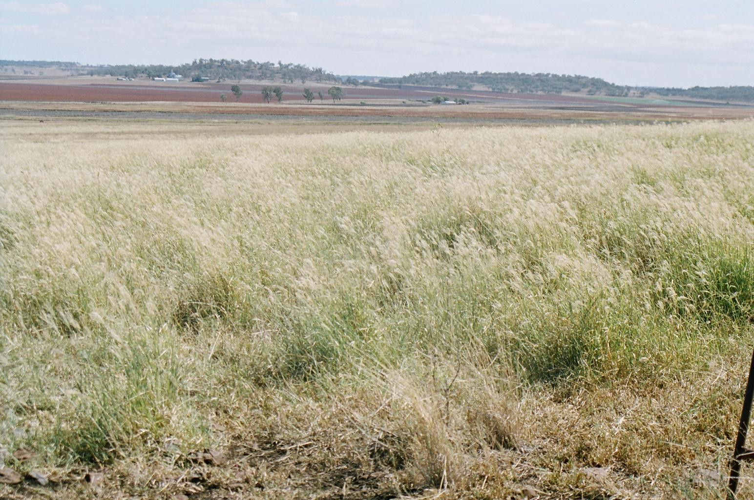 Grant writing | Stablish