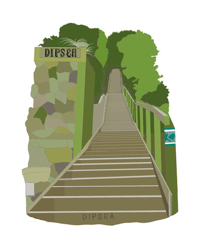 Dipsea Stairs | Illustrated Marin