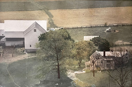 Home | Hedrick Farms