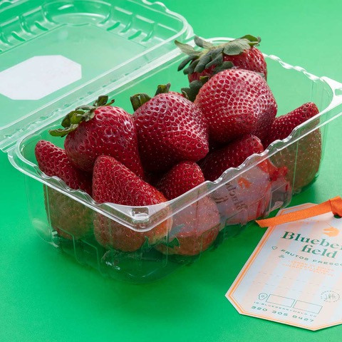 Fresas 500 g | Blueberry Field
