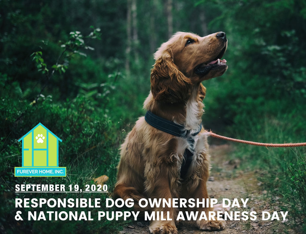 FurEver Home, Inc. | Dog Rescue | United States