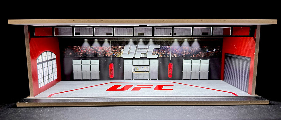 UFC Theme LED Diorama Display | Shop 164