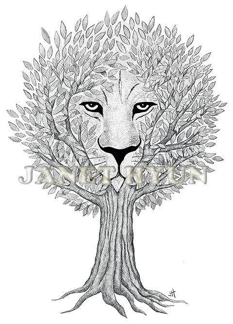 how to draw a lion out of the word lion