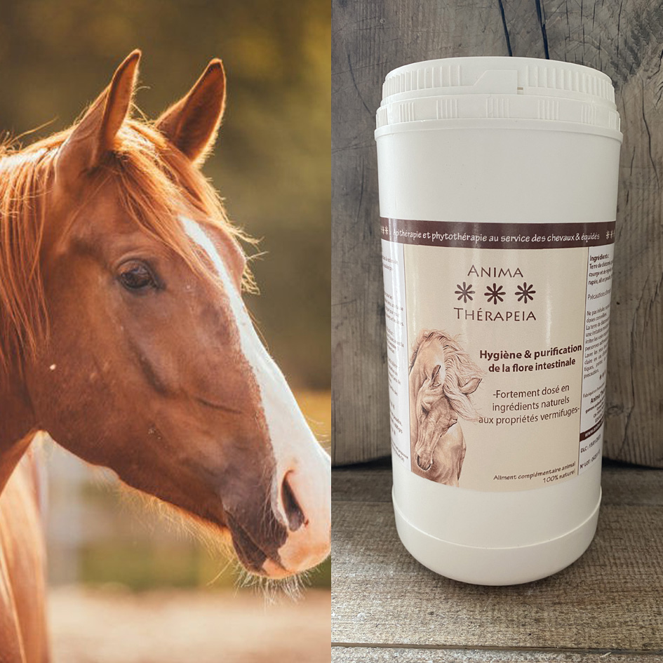 Vermifuge naturel ou traditionnel