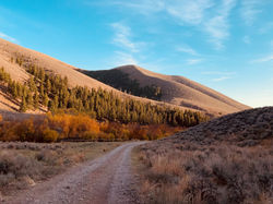 Home | clark-county-idaho