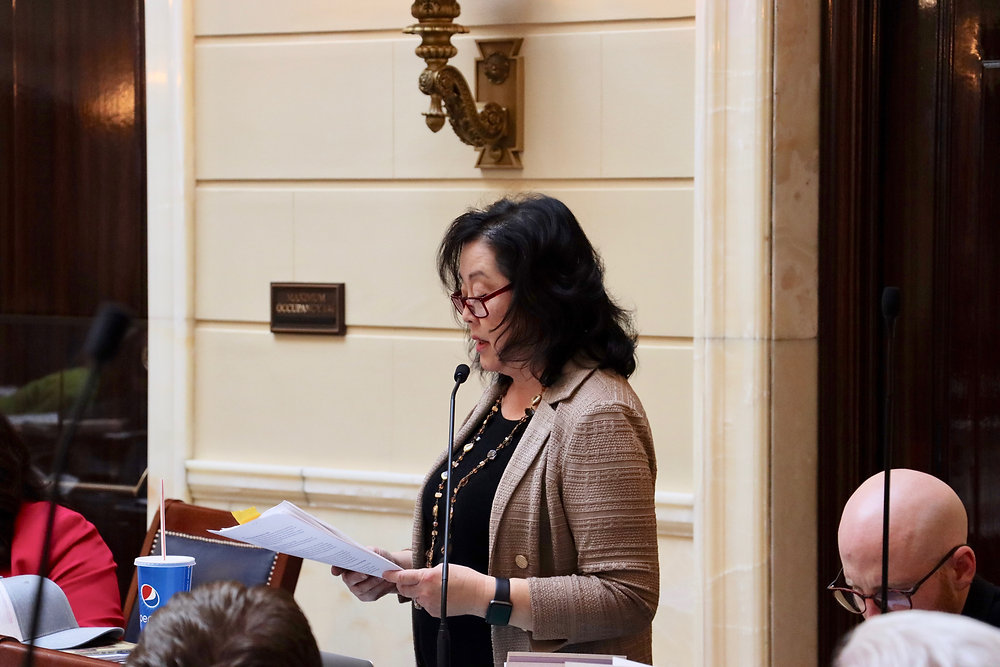 Senator Jani Iwamoto's Legislative Work