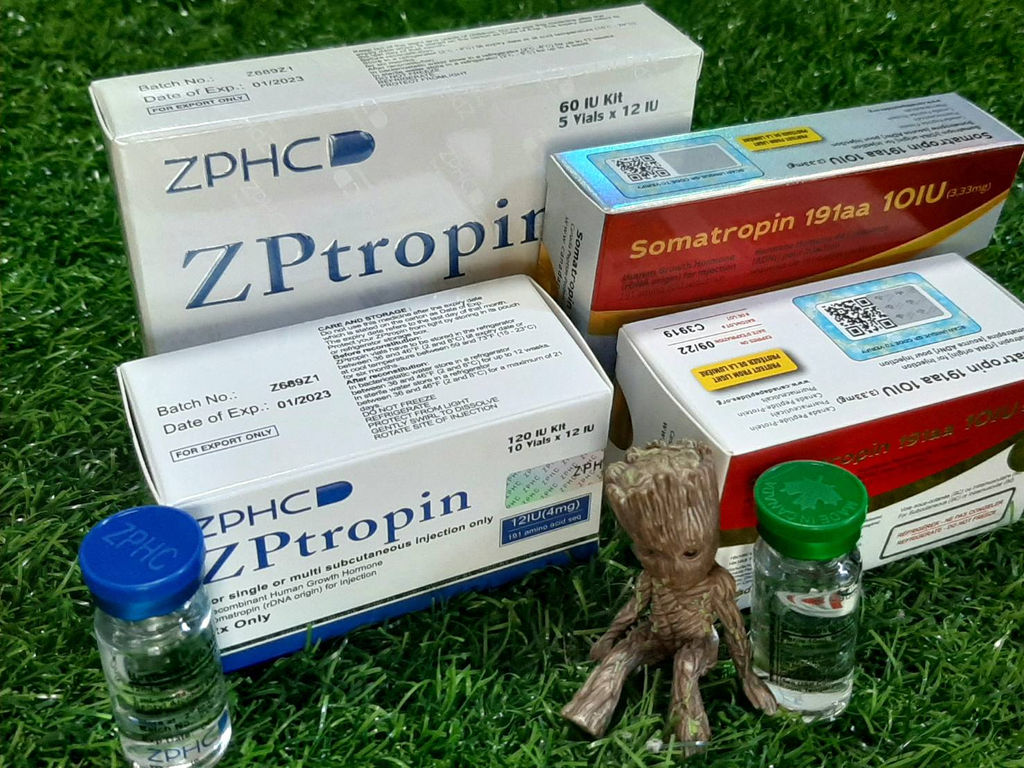 About HGH Human Growth Hormone. Where to buy HGH - ThaiHGH.com