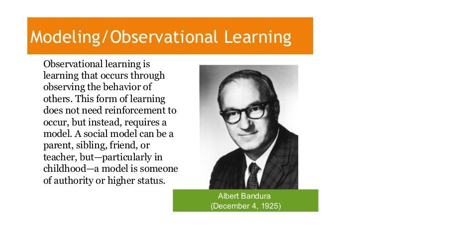 Observational Learning Bandura