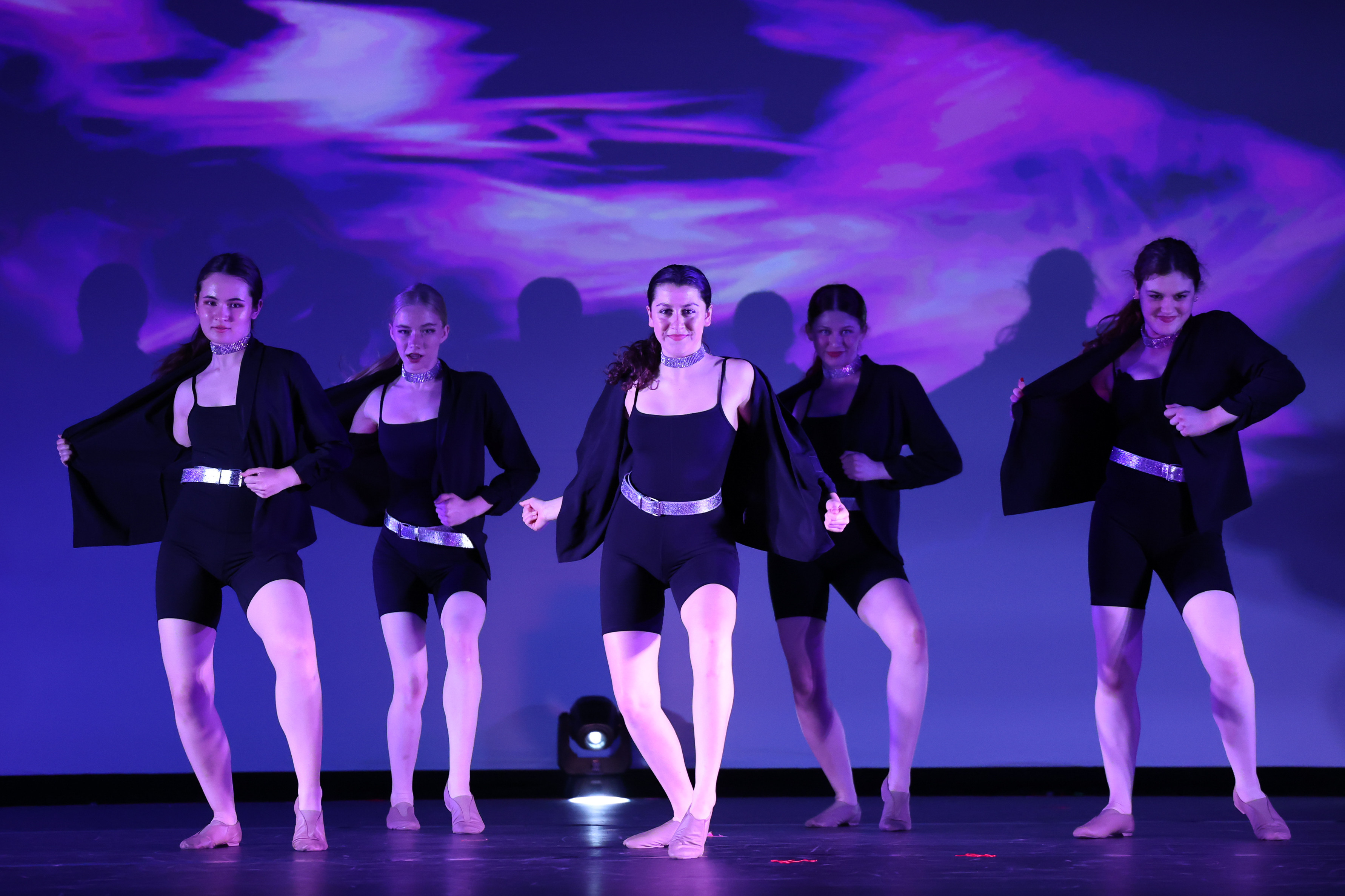 Senior Pre-Professional Program