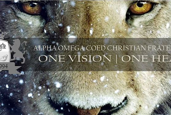 alpha omega   visions