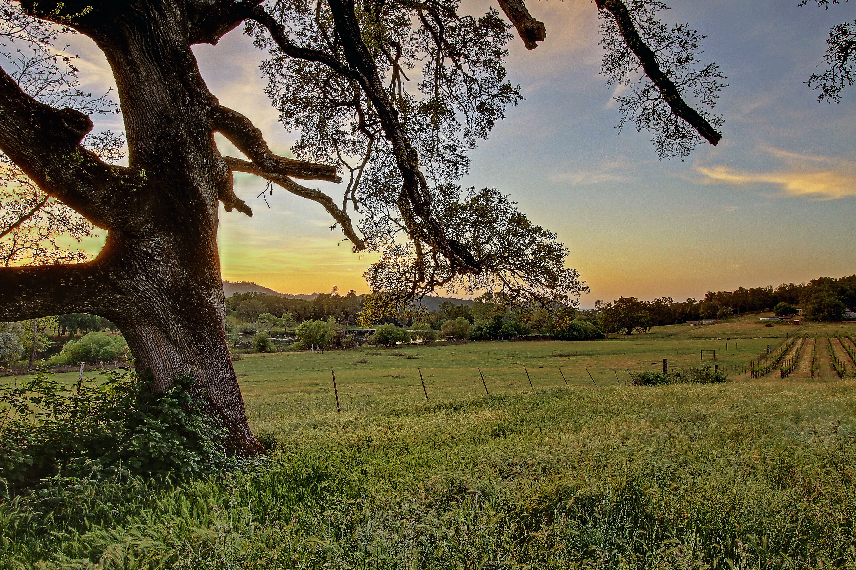 Lake Villa | Cielo Estate Winery | El Dorado County