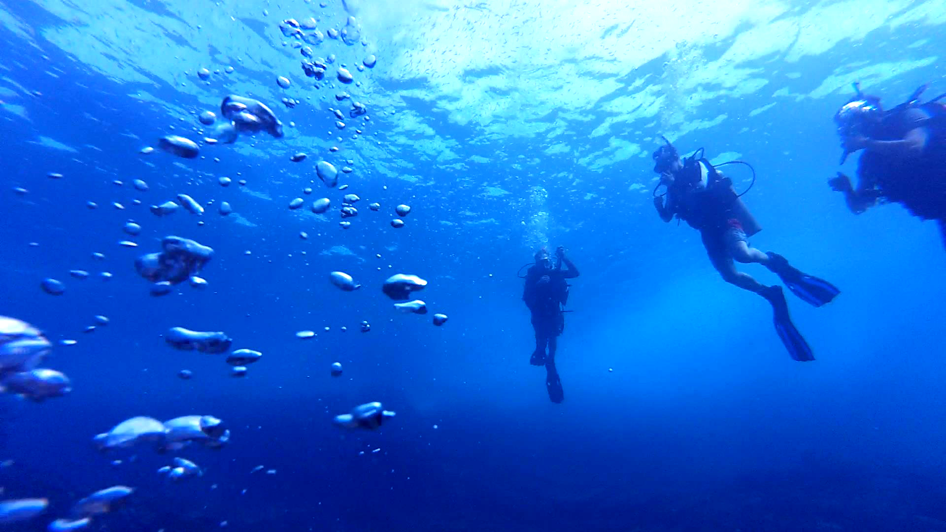 El Morro Puerto Vallarta (Easy and safe caves and reef walls)
