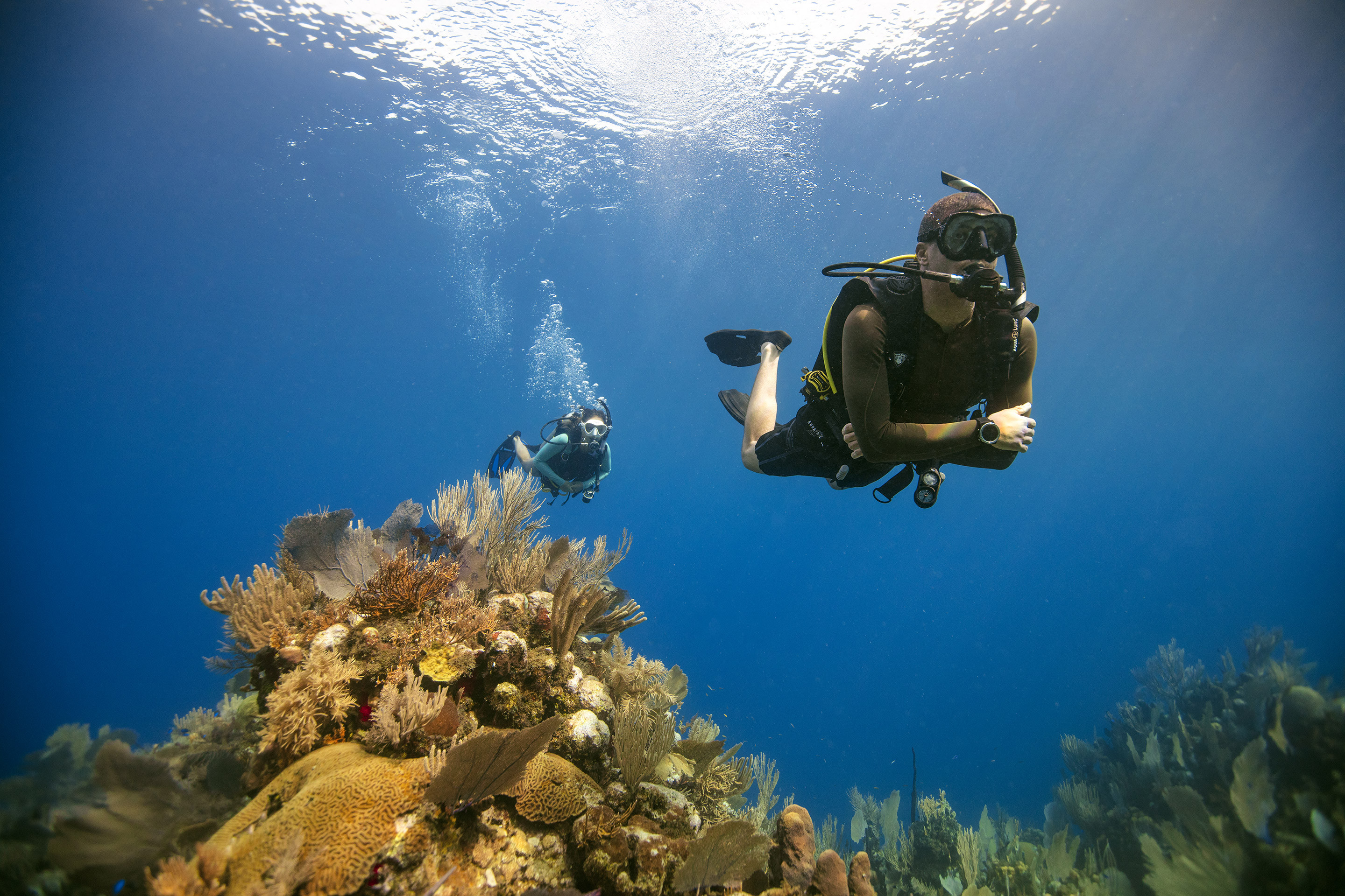 Advanced Open Water (5 Padi Adventure Dives) | Sayulita Entourage