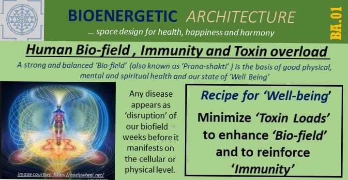 Human Bio-field , Immunity and Toxin overload