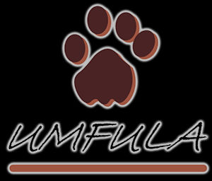 Discover the Charms of Umfula Resort on the Vaal River | The Go-To Guy