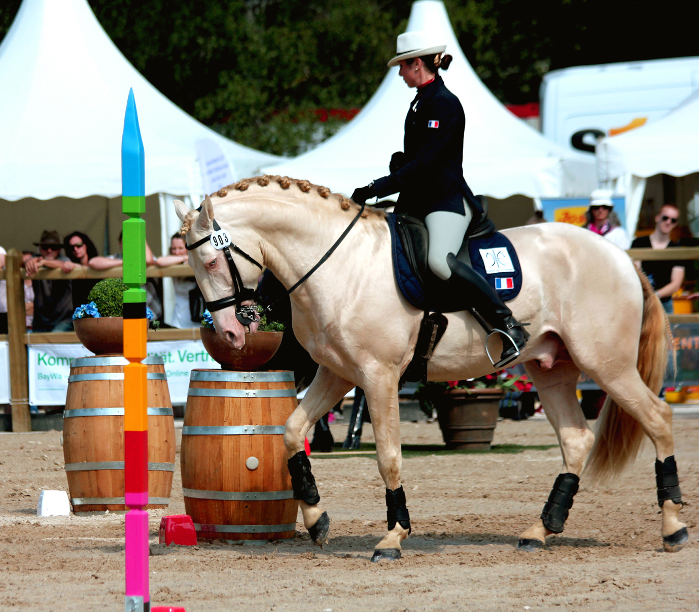 Accueil WEF | Working Equitation France - Site officiel