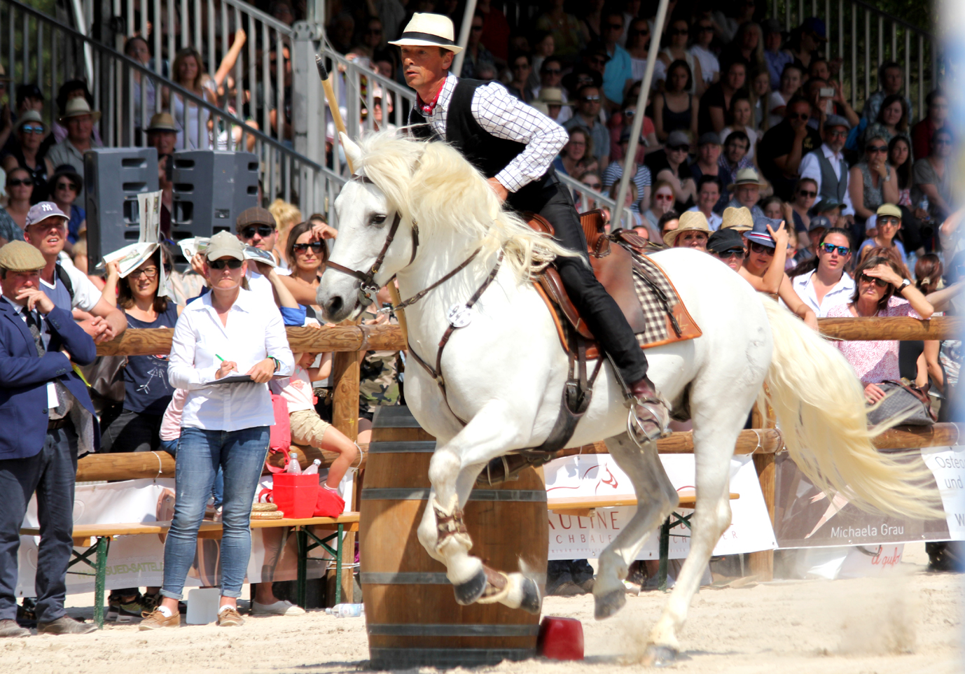 Accueil WEF | Working Equitation France - Site officiel
