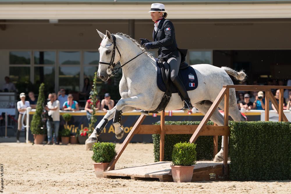 Accueil WEF | Working Equitation France - Site officiel