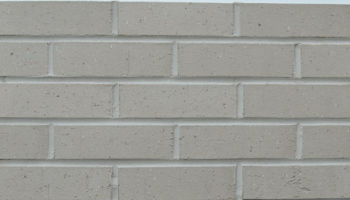 Taylor Clay 343 Gray