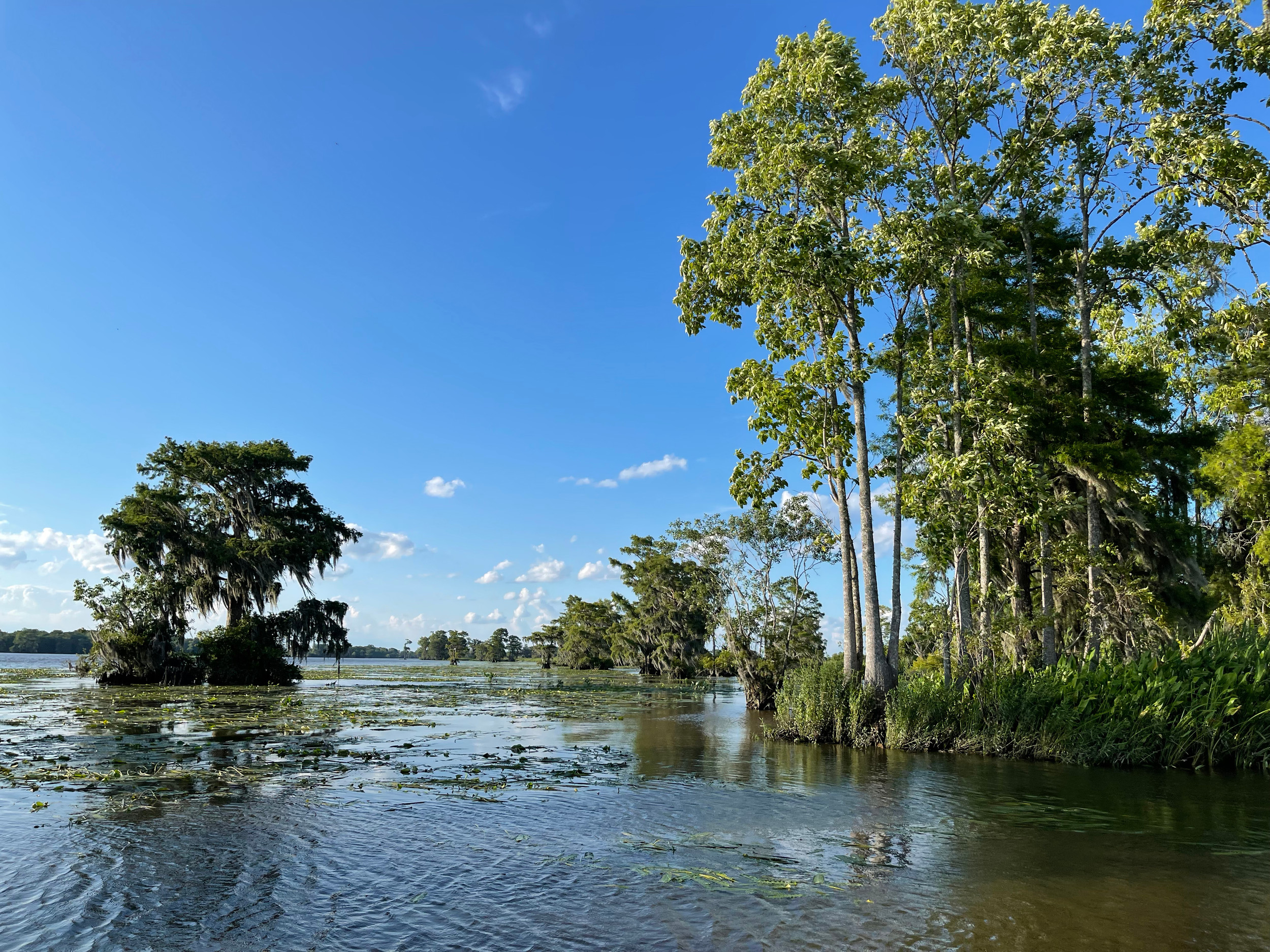 Top 10 Beaches South Carolina - Paradise Found on the Palmetto Coast